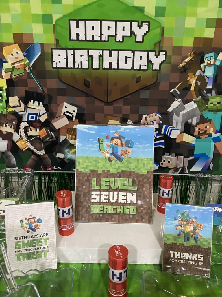Epic Minecraft Party – Sincerely Yasmen